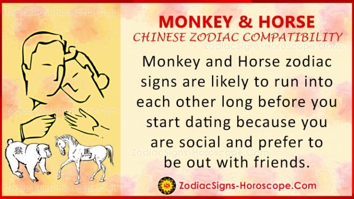 Monkey and Horse Compatibility: Zodiac Traits and Love Compatibility