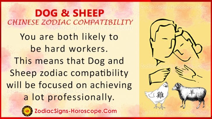 Dog and Sheep Compatibility: Zodiac Traits and Love Compatibility