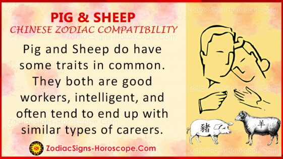 Pig and Sheep Compatibility: Chinese Zodiac Traits and Love Compatibility