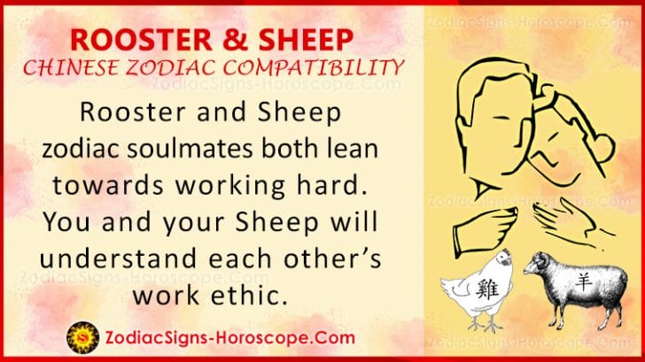 Rooster and Sheep Compatibility: Zodiac Traits and Love Compatibility