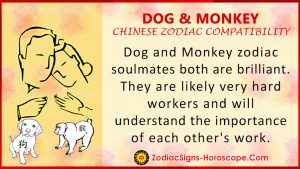 Dog and Monkey Compatibility: Zodiac Traits and Love Compatibility