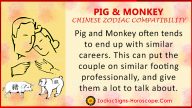 Pig and Monkey Compatibility: Zodiac Traits and Love Compatibility