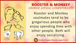 Rooster and Monkey Compatibility: Zodiac Traits and Love Compatibility