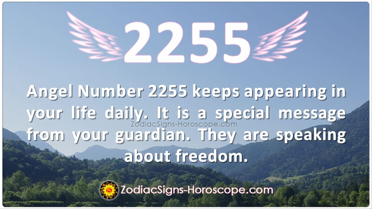 Angel Number 2255 Represents Your Freedom And Satisfaction ZSH Angel Number 2255 Represents Your Freedom And Satisfaction ZSH