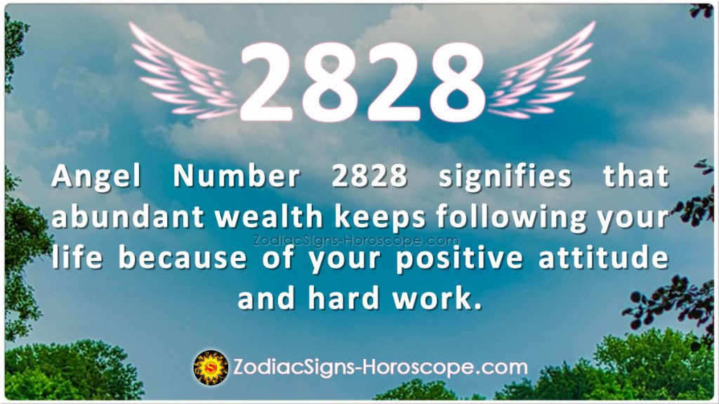 Angel Number 2828 Says Be Witness the True Spiritual Experience