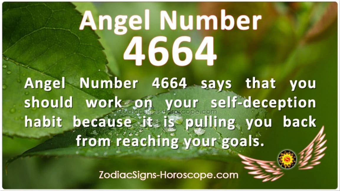 Angel Number 4664 Says You to Avoid Self Deception | 4664 Meaning