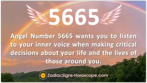 Angel Number 5665 Says Invest in Things That Makes Your Soul Happy