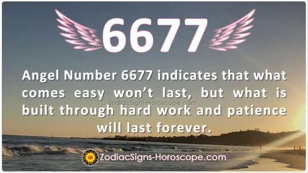 Angel Number 6677 Says Making Effort and Focus | 6677 Meaning