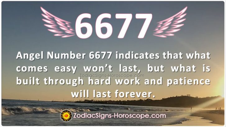 Angel Number 6677 Says Making Effort and Focus | 6677 Meaning