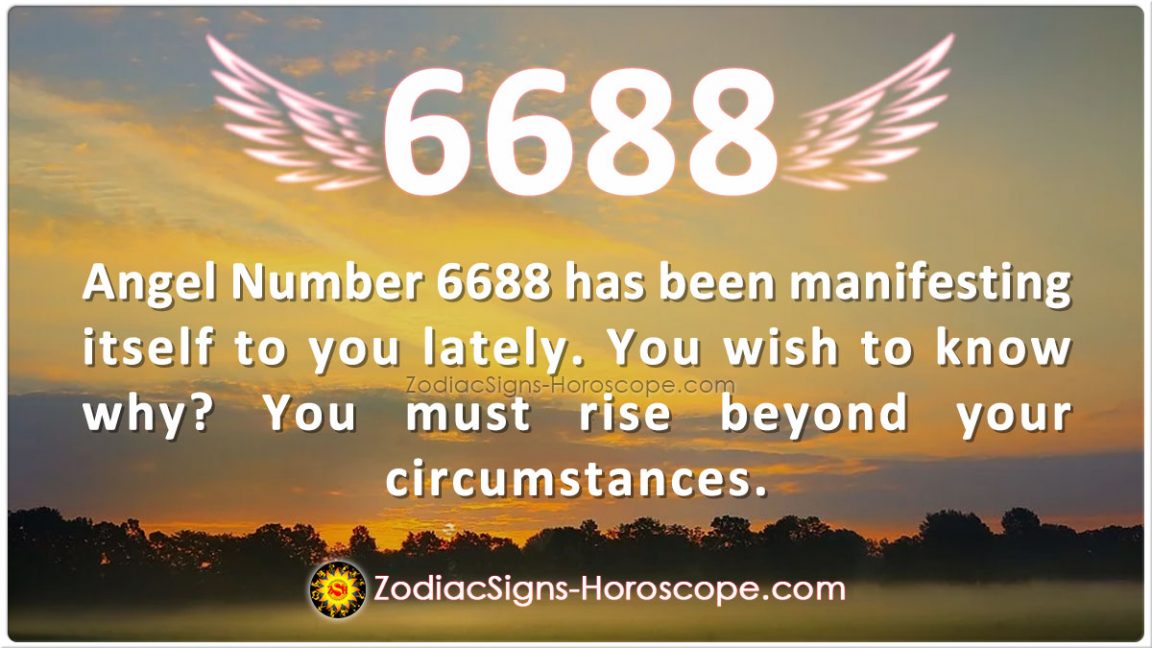Angel Number 6688 Says Rising Above Your Situation | 6688 Meaning
