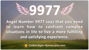 Angel Number 9977 Helps You in Managing Uncertainty | 9977 Meaning