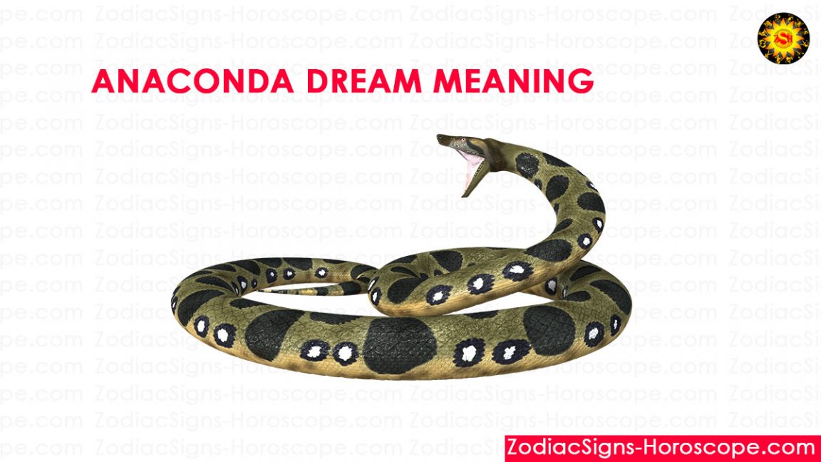 Anaconda Dream Meaning, Interpretation and Dream Symbolism