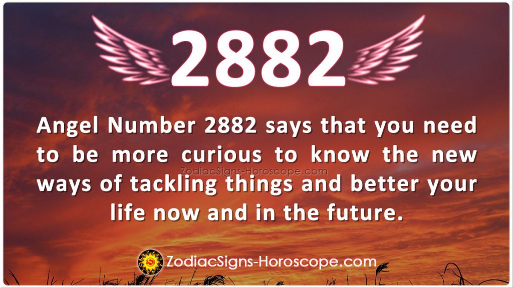 Angel Number 2882 Says Explore Your Strengths | 2882 Meaning