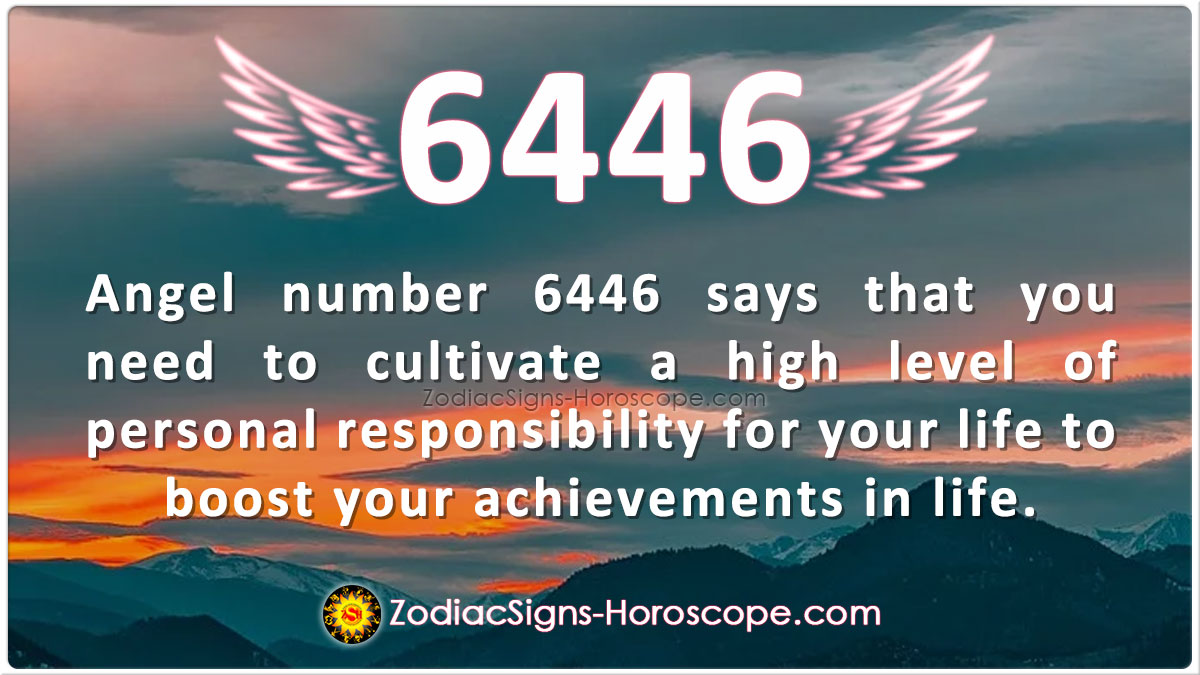 Angel Number 6446 Indicates Responsibility Stretch | 6446 Meaning