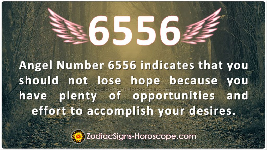 Angel Number 6556 Represents Knowledge and Strength | 6556 Meaning