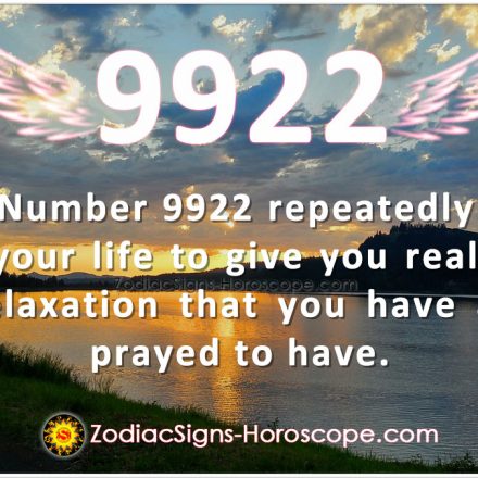 Angel Number 6446 Indicates Responsibility Stretch | 6446 Meaning