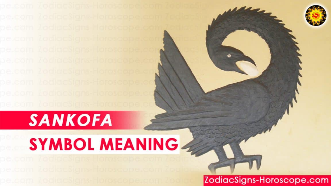 Sankofa Symbol from African Adinkra Symbols: Meaning and Symbolism
