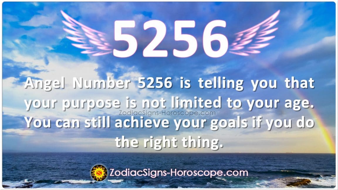 Angel Number 134 Says Be Human and Let Your Heart Soar | 134 Meaning