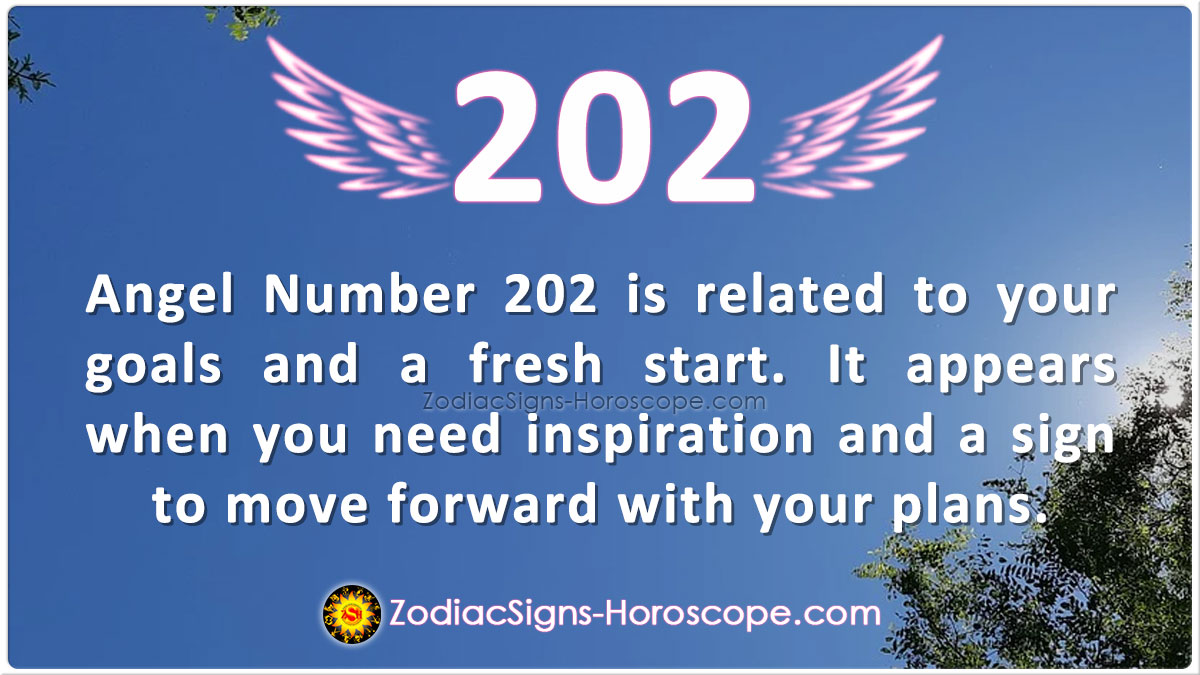 Angel Number 202 Meaning: Complete Wholeness | 202 Angel Number