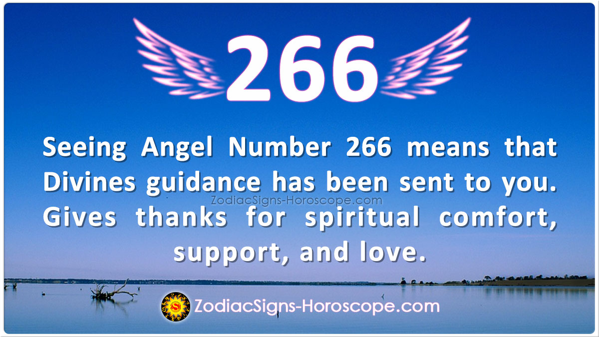Angel Number 266 Meaning: A Spark of Motivation | 266 Angel Number