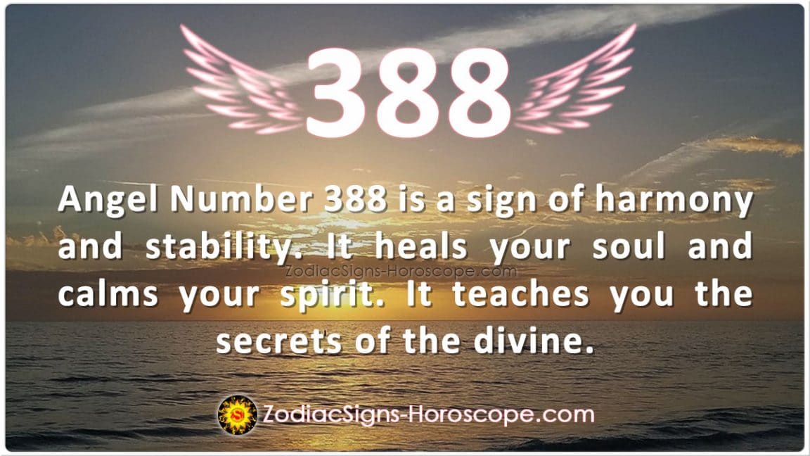 Angel Number 388 Meaning: Being Wise | 388 Angel Number