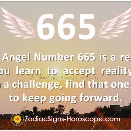 Angel Number 667 Meaning: Cleansing Your Energy | 667 Meaning
