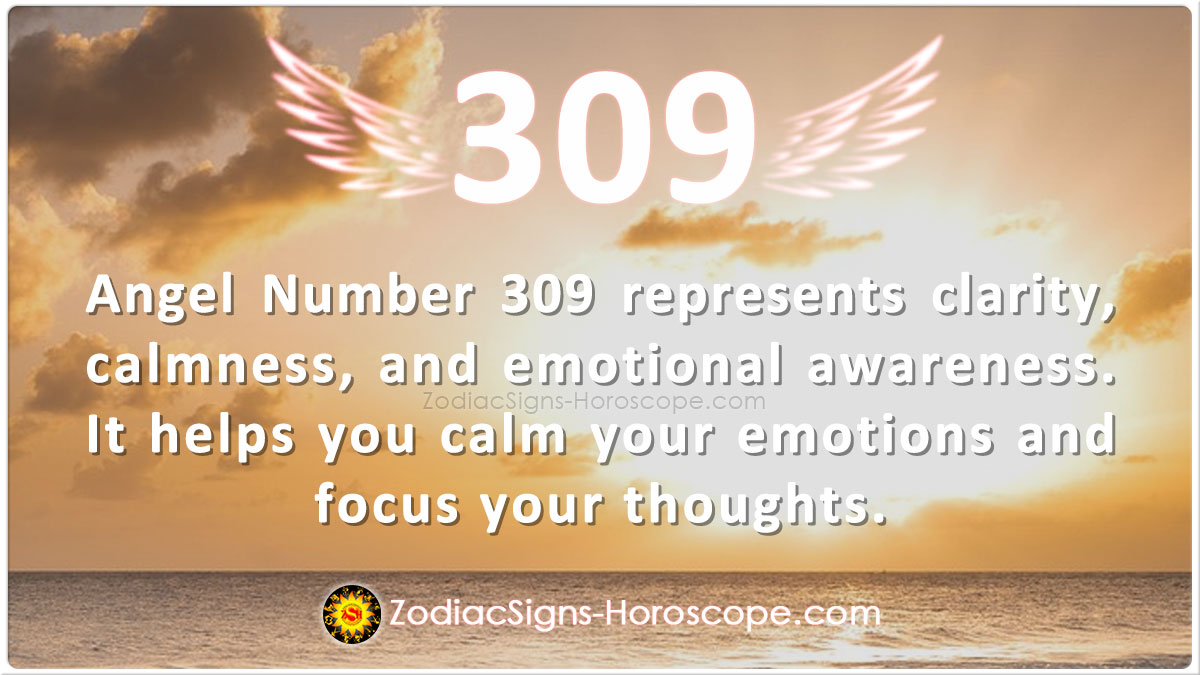 Angel Number 309 Meaning: A Clear Mind | 309 Angel Number
