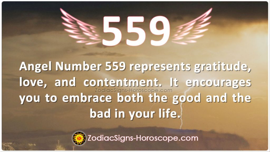 Angel Number 559 Meaning: Loving Life | 559 Angel Number