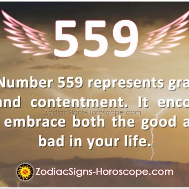 Angel Number 558 Meaning: Crucial Signs | 558 Angel Number