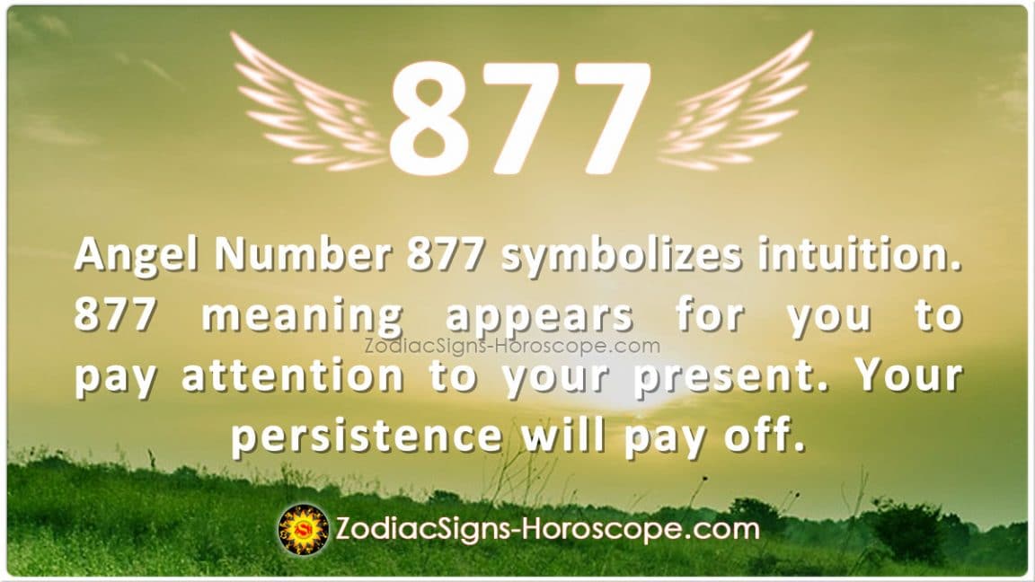 Angel Number 877 Meaning: Passion and Mission | 877 Angel Number