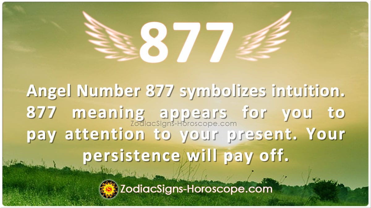 Angel Number 877 Meaning: Passion and Mission | 877 Angel Number