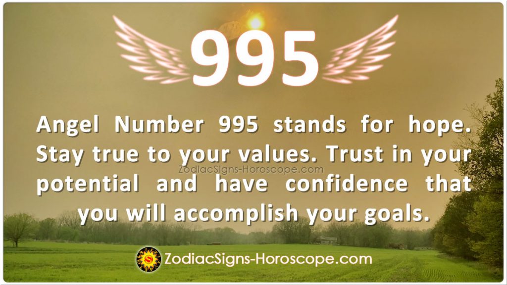 Angel Number 995 Meaning: Make A Wish - ZodiacSigns-Horoscope.com