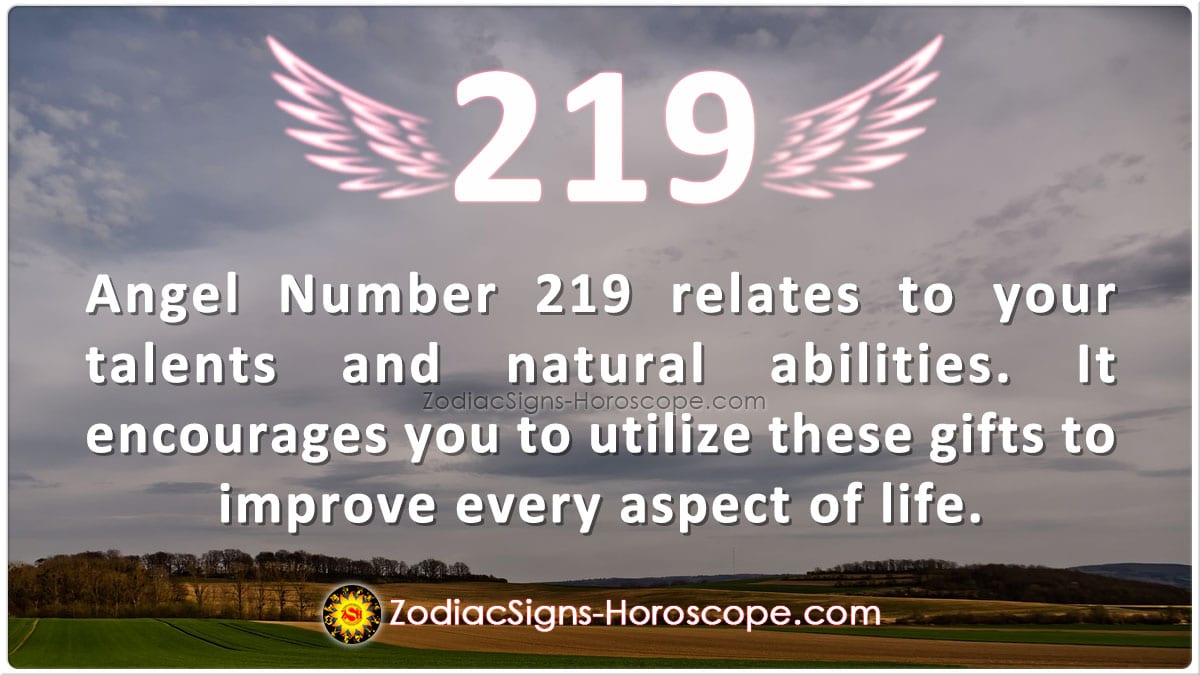 Angel Number 219 Meaning: Grand Talent | 219 Angel Number