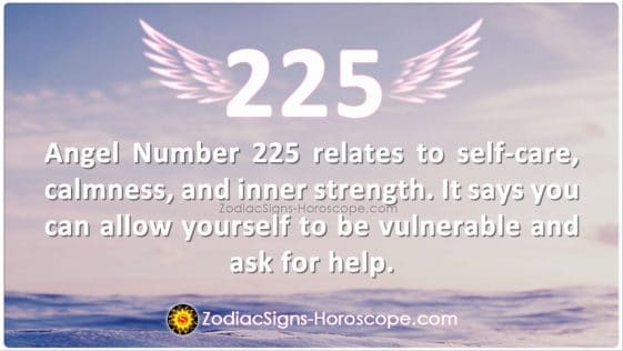 Angel Number 225 의미: 도움 요청 | 225 엔젤 넘버