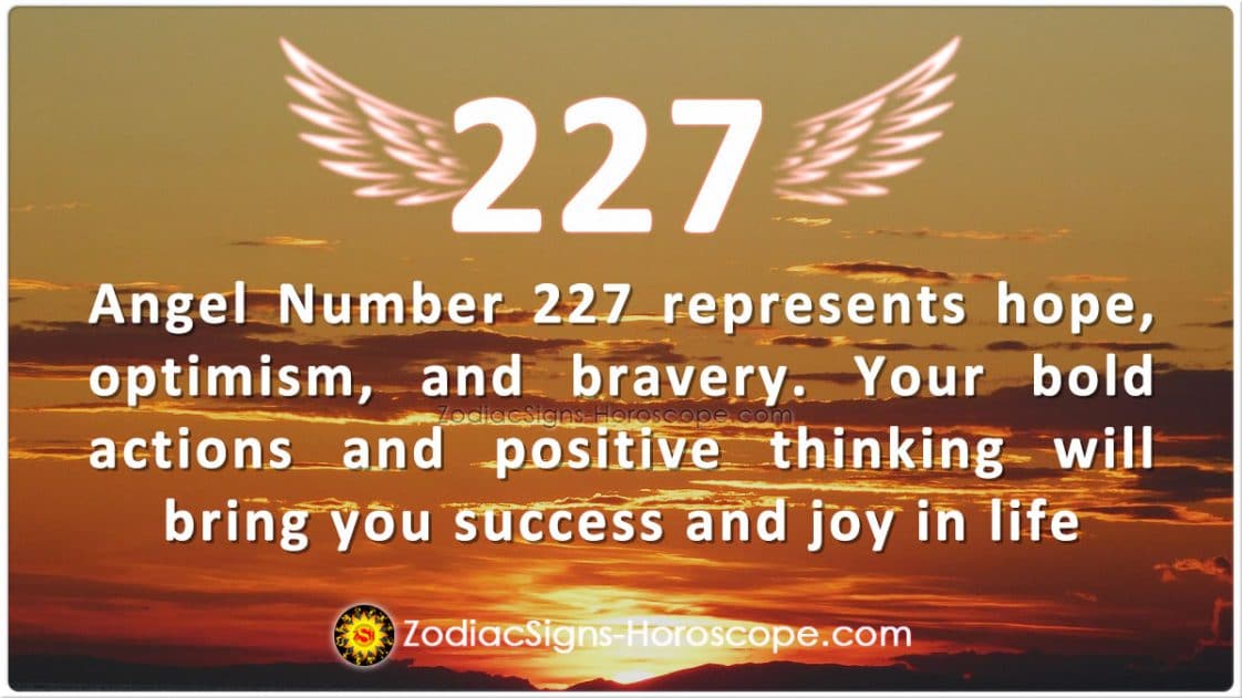 Angel Number 227 Meaning: Hope in Life - ZodiacSigns-Horoscope.com
