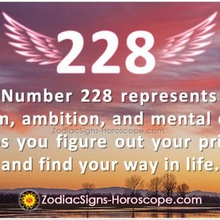 Angel Number 229 Meaning: Great Passion | ZodiacSigns-Horoscope.com