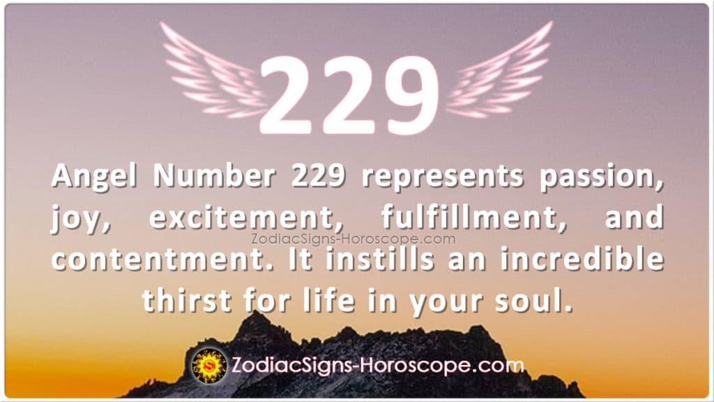 Angel Number 229 Meaning: Great Passion - ZodiacSigns-Horoscope.com