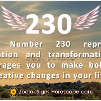 Angel Number 229 Meaning: Great Passion | ZodiacSigns-Horoscope.com