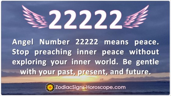 Angel Number 22222 Significato: Progetta il tuo obiettivo | 22222 ...