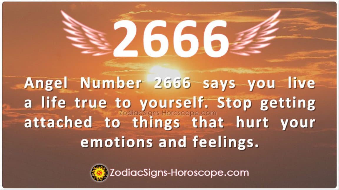 Angel Number 2666 Meaning: Bright Future - ZodiacSigns-Horoscope.com