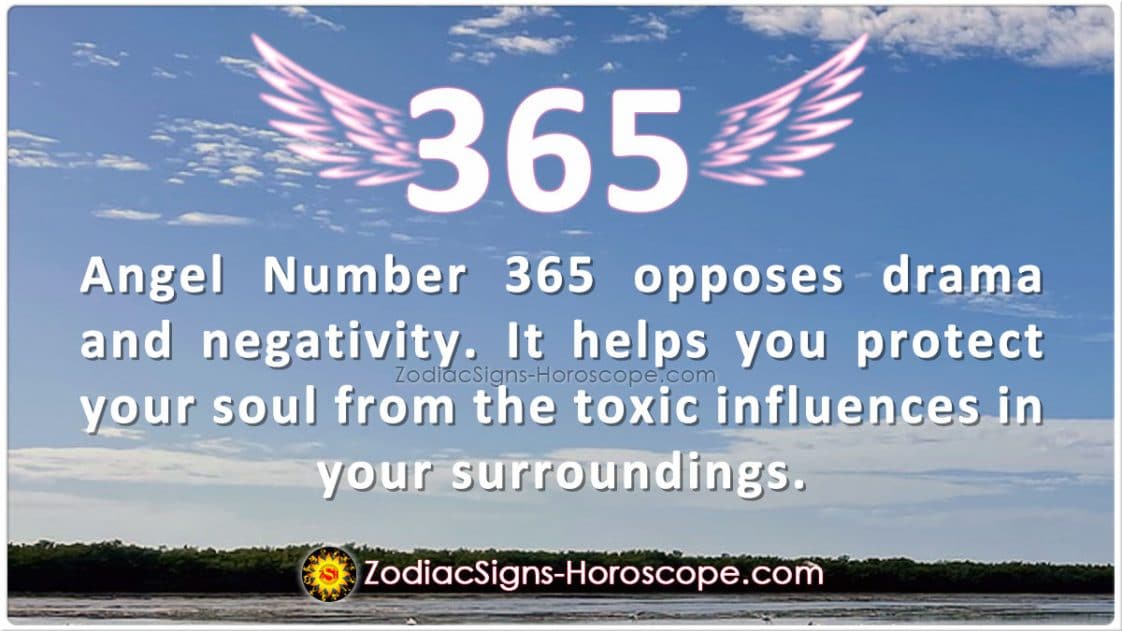 Angel Number 365 Meaning: No Drama | 365 Angel Number | ZSH