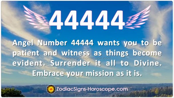 Número de ángel 44444 Significado: Ser el mejor | 44444 Número de ángel