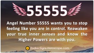Angel Number 55555 Meaning: Vibrating Higher | 55555 Angel Number