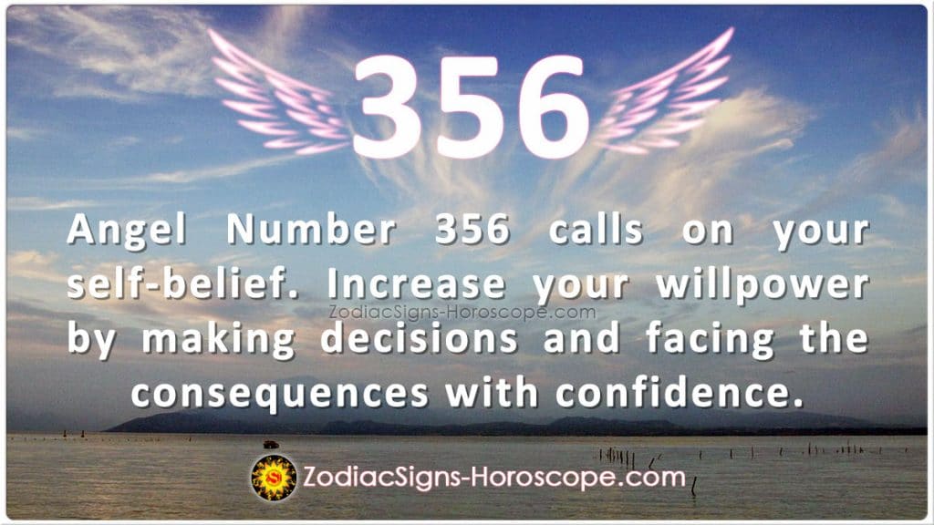 Angel Number 356 Meaning: Divine Willpower | 356 Angel Number | ZSH
