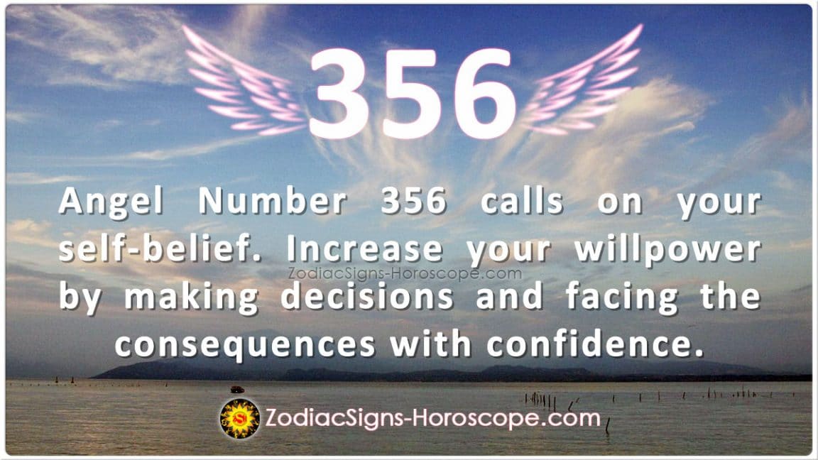 Angel Number 356 Meaning: Divine Willpower | 356 Angel Number | ZSH