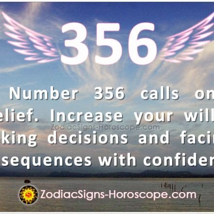 Angel Number 316 Meaning: Slow Results | 316 Angel Number | ZSH