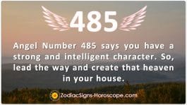 Angel Number 485 Meaning: Peace and Love | 485 Angel Number | ZSH