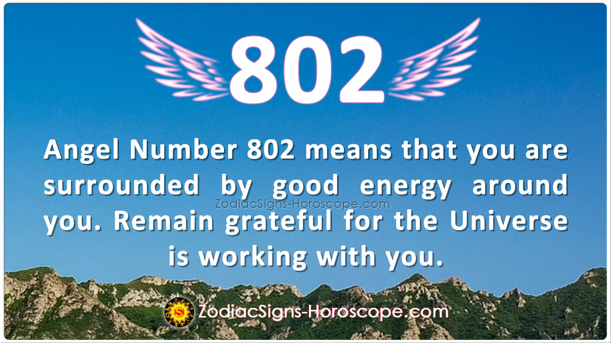 Angel Number 802 Meaning: Don't Quit | 802 Angel Number | ZSH
