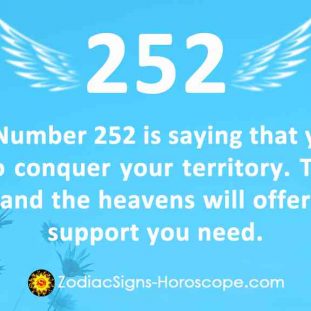 Angel Number 253 Meaning: The Road to Stability | 253 Angel Number