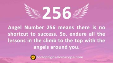 Angel Number 256 Meaning: Manifest Your Strength | 256 Angel Number